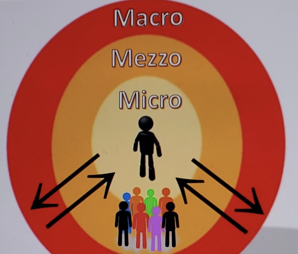 Macro, Mezzo, and Micro Wellness - Elmhurst Counseling